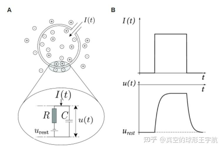 Neuronal Dynamics神经动力学笔记：01神经元的简单模型 - 知乎