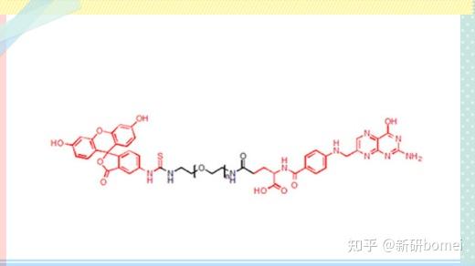 供应荧光染料FITC-PEG-FA,Folic acid-PEG-Fluorescein,荧光素-聚乙二醇-叶酸 - 知乎