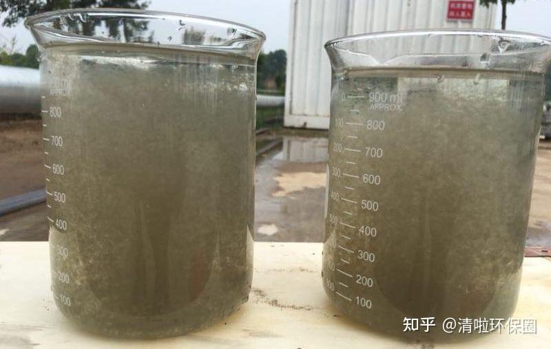 【运营实操】PAM、PAC反应条件及投加要求&使用方法 - 知乎