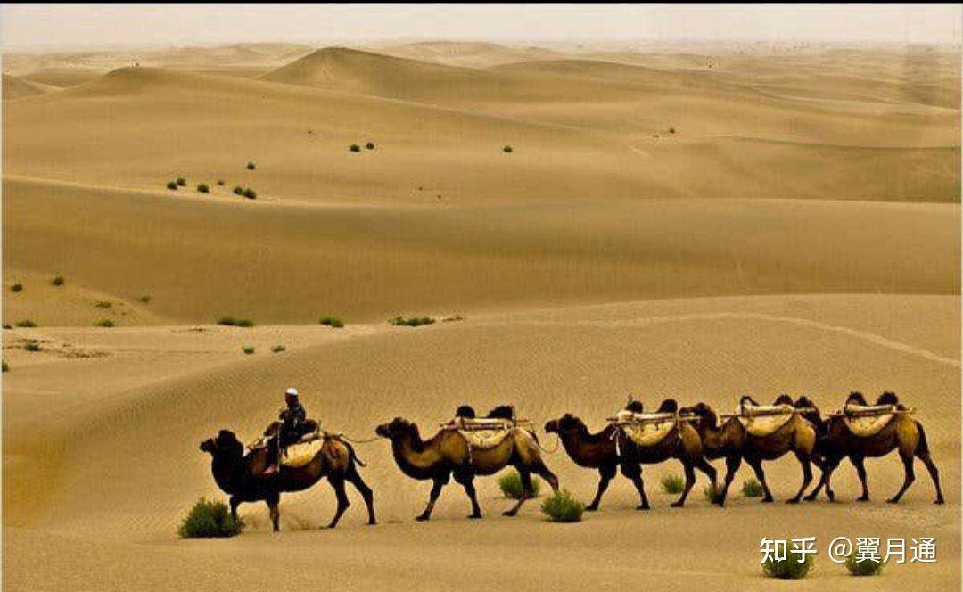 用英语讲述中国 001期：中国新疆的历史1 - 知乎