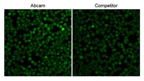 Gcamp6的工作原理是什么？ - 知乎