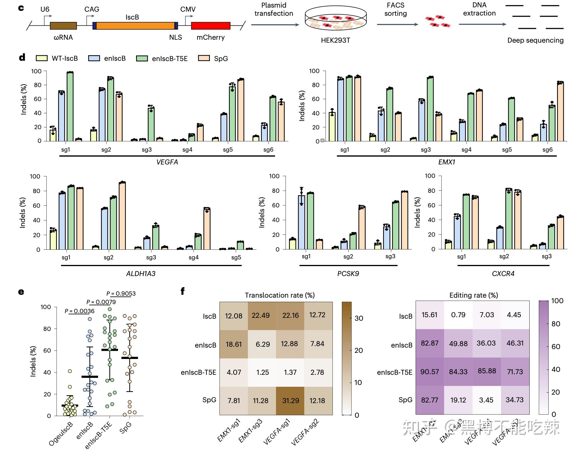 基于工程化改造的IscB-nickase的小型化碱基编辑器开发 - 知乎