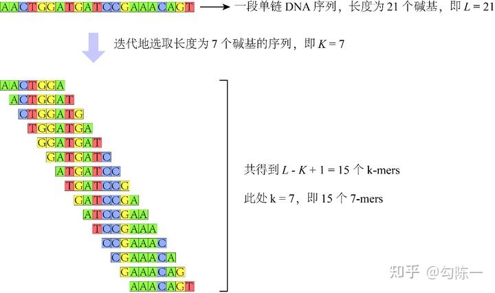学习笔记：MMseq2和HMMER：MSA到底是怎么生成的 - 知乎