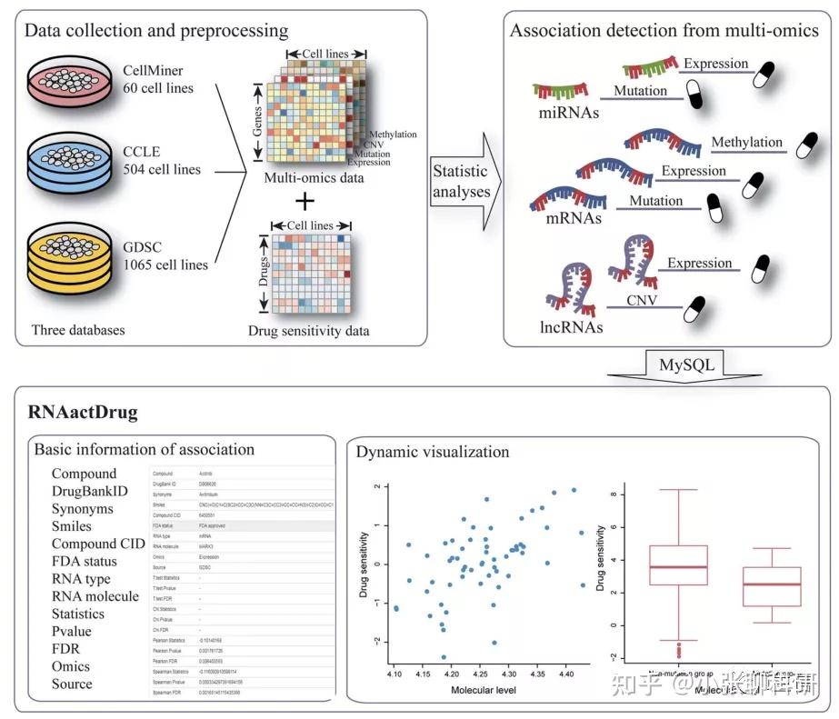 工具篇丨RNAactDrug数据库：多组学角度揭示RNA分子与药物之间的关系 - 知乎