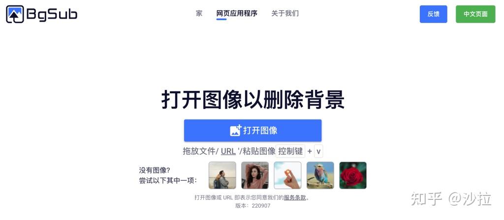 BgSub: 图像编辑删除或替换背景 - 知乎