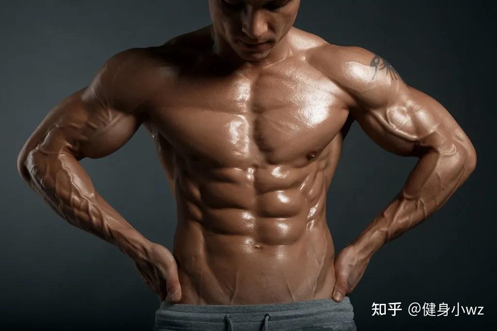 为什么我要说腹肌不需要专门训练? 知乎