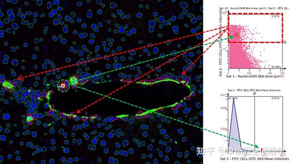 多组学数据标准的验证利器分享——TissueFAXS Cytometry技术 - 知乎