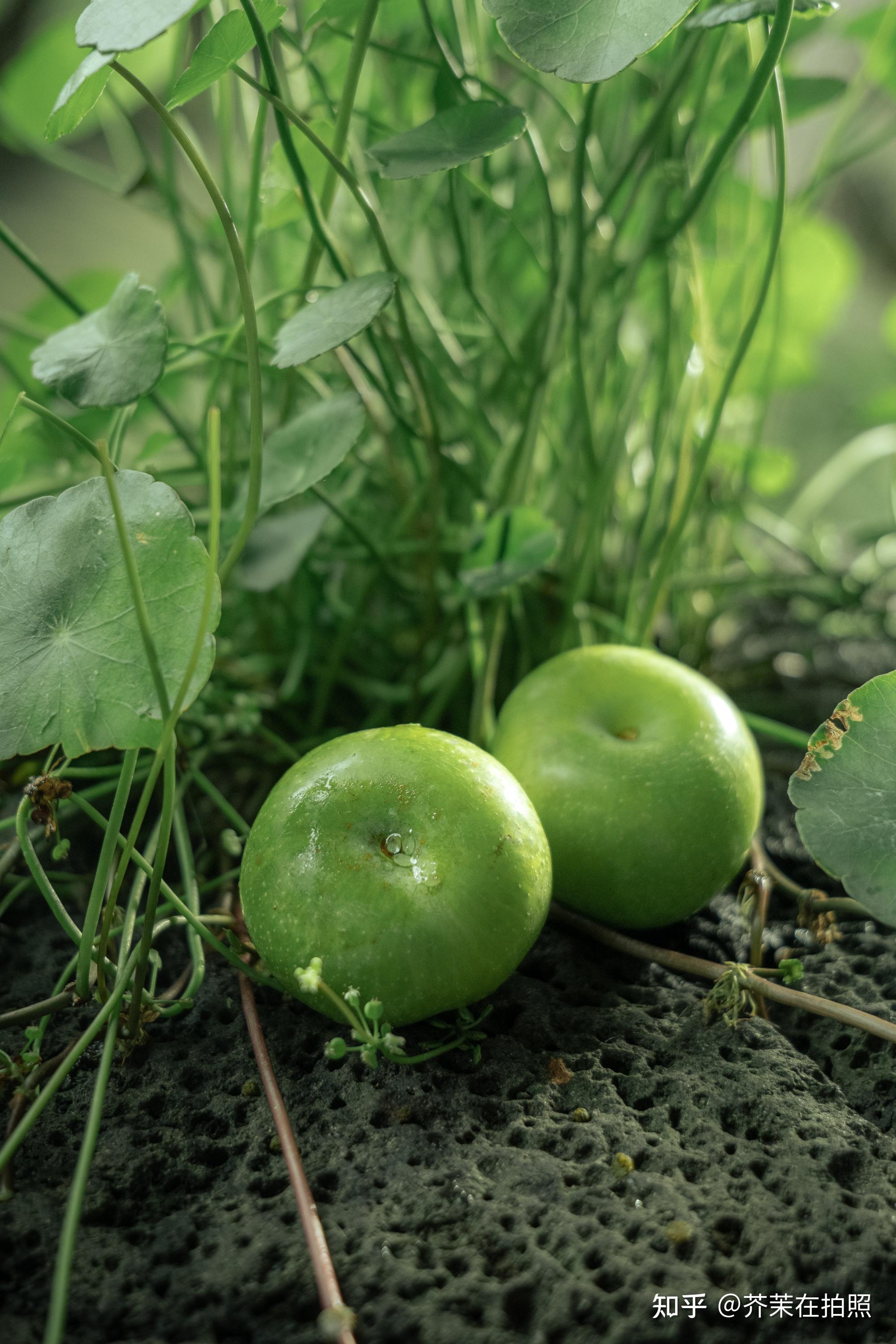 一台松下S9，治好了我的调色内耗｜Magic LUT真香 - 知乎