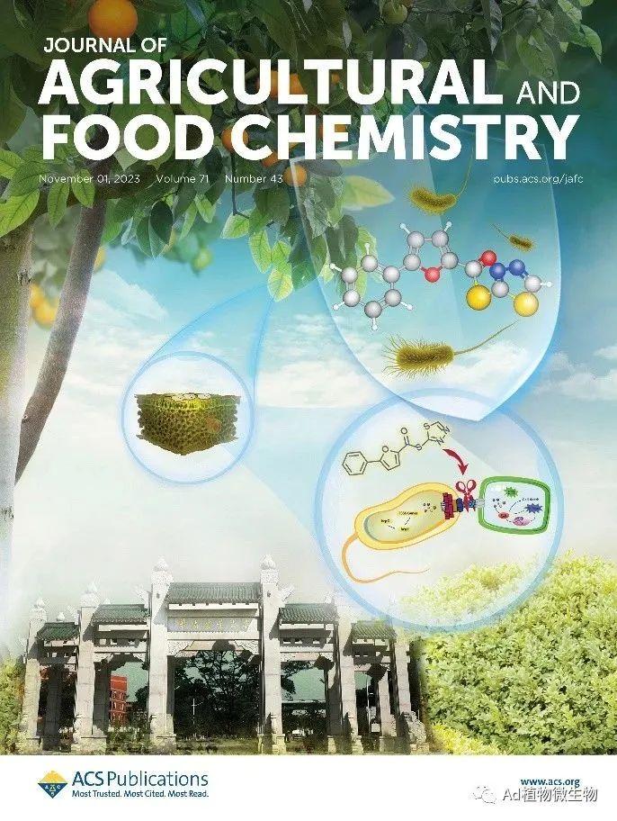 JAFC封面论文！华南农业大学崔紫宁教授团队在柑橘溃疡病防治方面取得重要进展 - 知乎