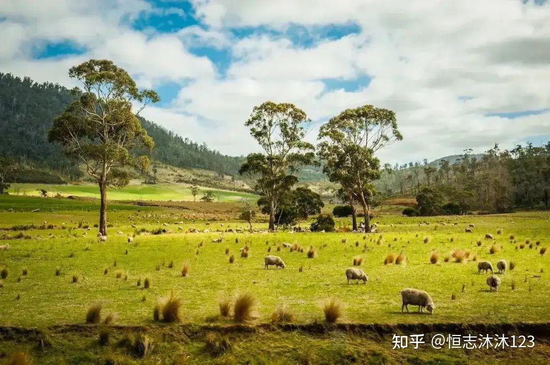 我在澳大利亚生活一年，告诉你一个真实的澳洲，不要相信网上说的 - 知乎