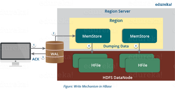 带你了解 HBase 数据模型和 HBase 架构 - 知乎