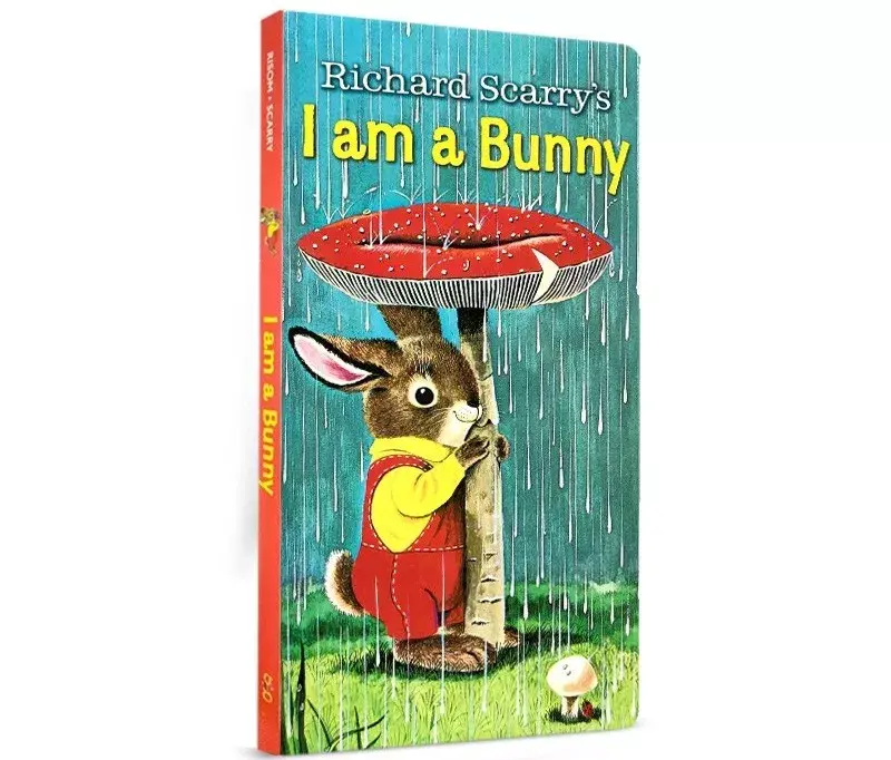 绘本领读 | I am a Bunny，带你领略四季变换的美丽！ - 知乎