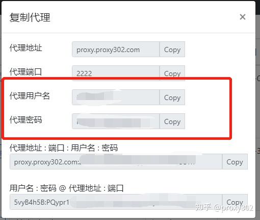 VMlogin设置Proxy302代理详细教程 - 知乎