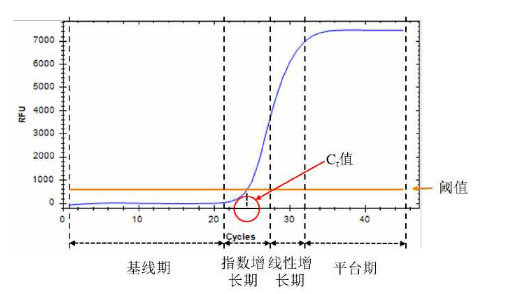 【星耀小课堂】一文全知道|实时定量PCR（qPCR）技术原理解析 - 知乎