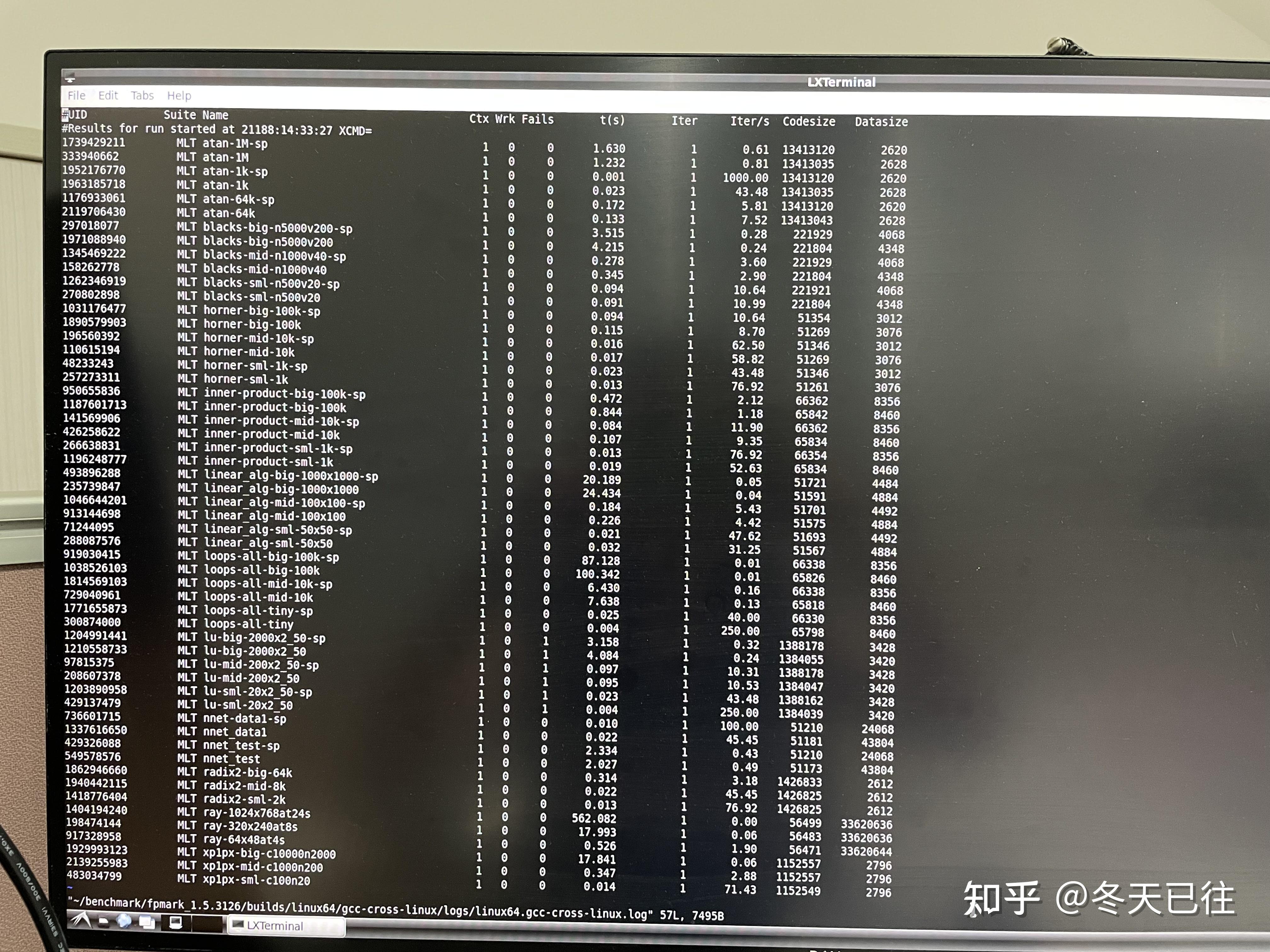 在全志哪吒RISCV64 D1开发板上运行常用的Benchmark：Embench, Dhrystone, fpmark, linpack ...