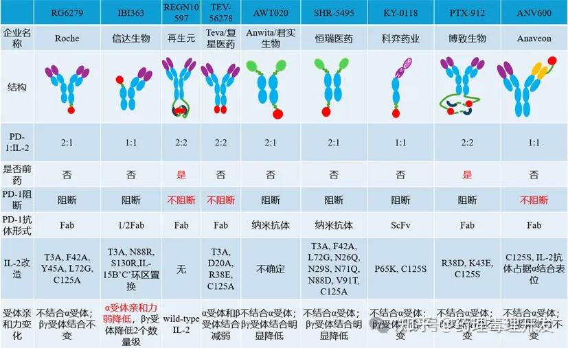 系统盘点PD-1/IL-2众生相，谁会成为下一个IBI363？ - 知乎