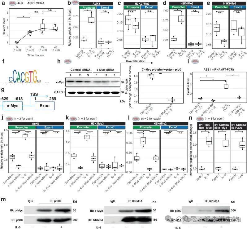 《医学多组学文献分享》Nat. Commun. 重磅发现：靶向ASS1-精氨酸轴或成溃疡性结肠炎治疗新策略 - 知乎