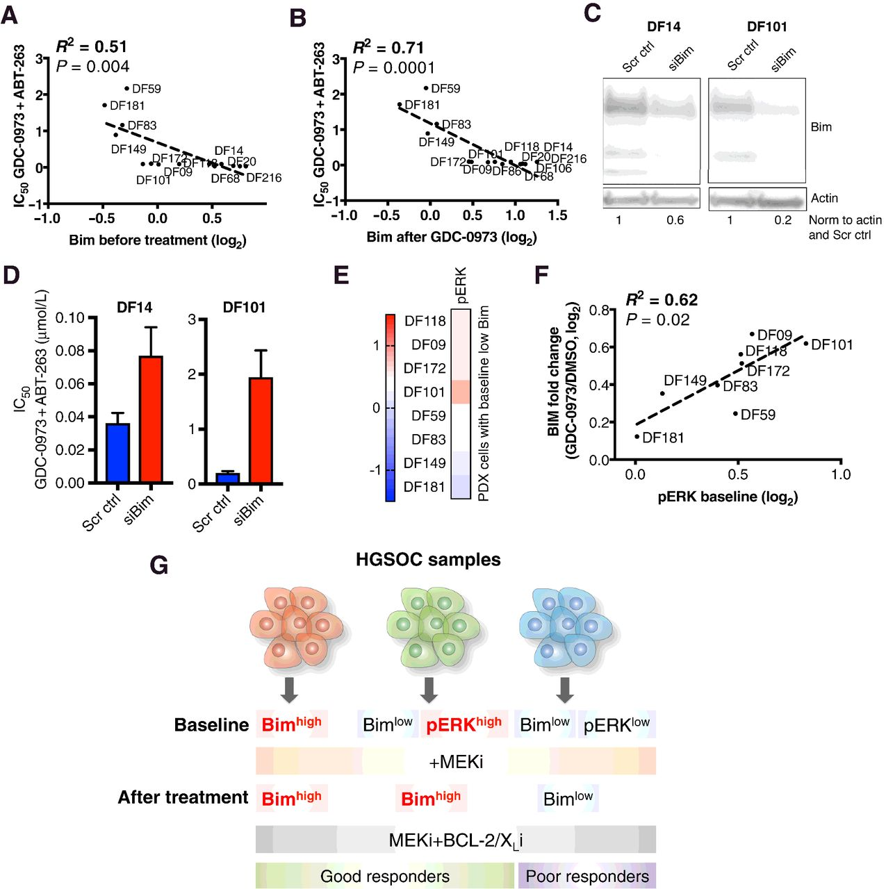 联合抑制MEK和BCL-2/xL在患者来源高浆卵巢癌模型中有效且BIM水平可预测治疗反应 - 知乎