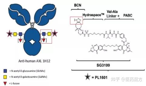 多项授权合作，Synaffix公司ADC专利技术解析 - 知乎