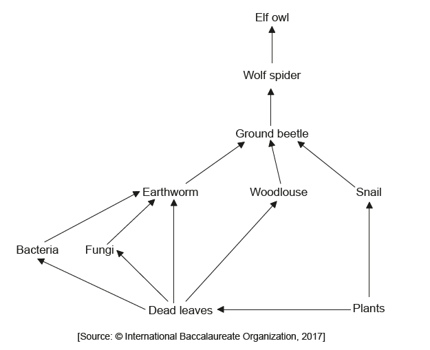 Topic 4.2 Energy flow（能量流动） - 知乎