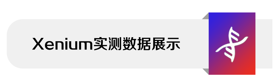 实测数据丨贝瑞基因Xenium 5K见证空间组学突破性表现 - 知乎
