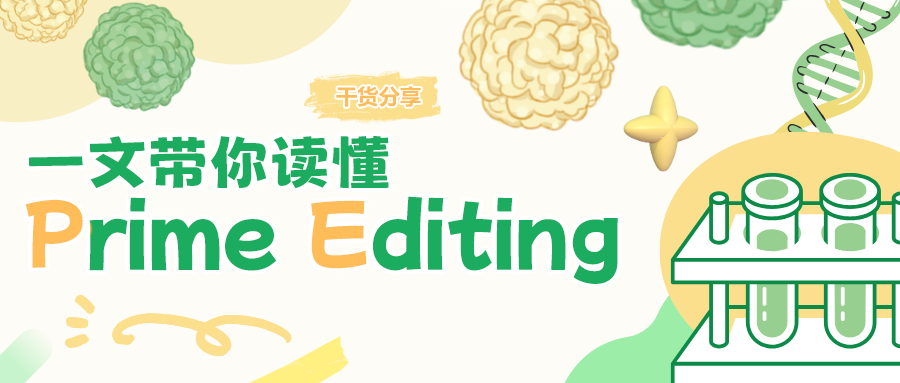 Prime editing 101：一文带你读懂先导编辑 - 知乎