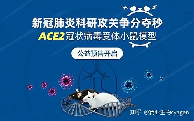 ACE2功能全解析 - 知乎