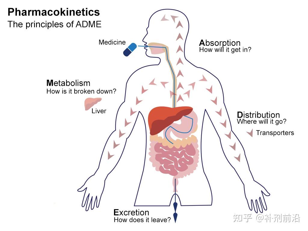 替代咖啡因的最佳成分-NNB®Enfinity®（副黄嘌呤），来自未来的“无限能量” - 知乎