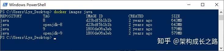 Docker最全教程之使用Docker搭建Java开发环境 - 知乎