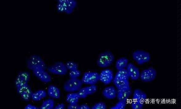 Enhertu德喜曲妥珠单抗重组冻干粉DS8201中文用药说明书 - 知乎
