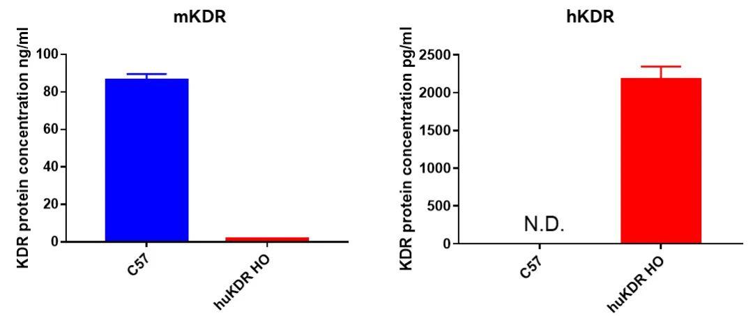 全面解析！靶向VEGF重塑肿瘤微环境策略 - 知乎