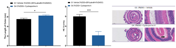 从病因到治疗，药康炎症性肠病小鼠模型（IBD）助力科研 - 知乎