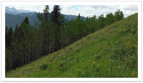 Stata学习：如何绘制树簇图 treecluster ？ - 知乎