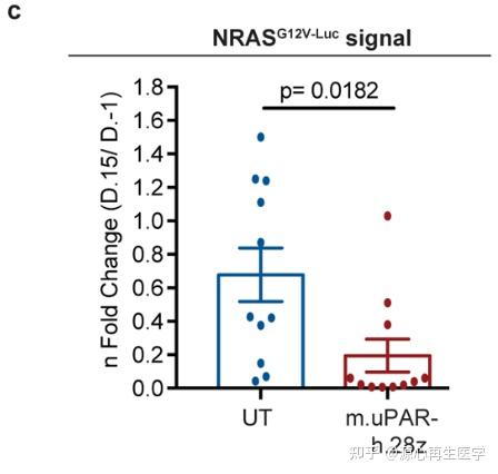 Nature丨“返老还童”新突破：uPAR助力CAR-T提高抗衰老效果 - 知乎