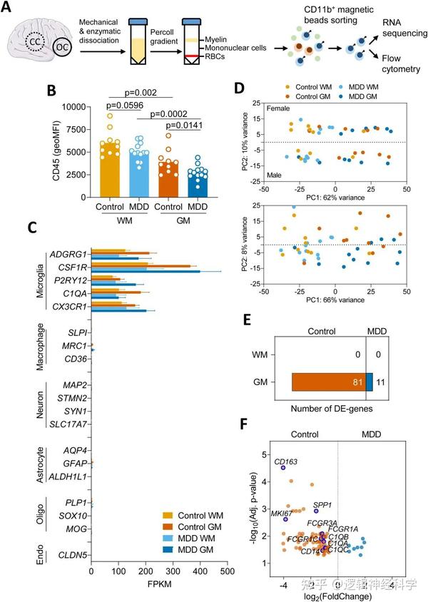Biol Psychiatry︱重度抑郁症的小胶质细胞转录谱显示皮层灰质小胶质细胞受到抑制 - 知乎