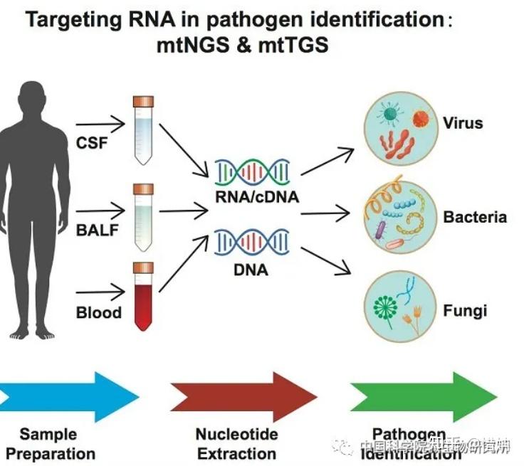 中科院：建立靶向RNA的病原检测新方法mtNGS和mtTGS - 知乎