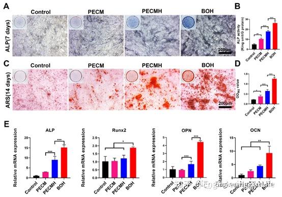《ACS AMI》：原位仿生矿化水凝胶用于加速骨再生 - 知乎