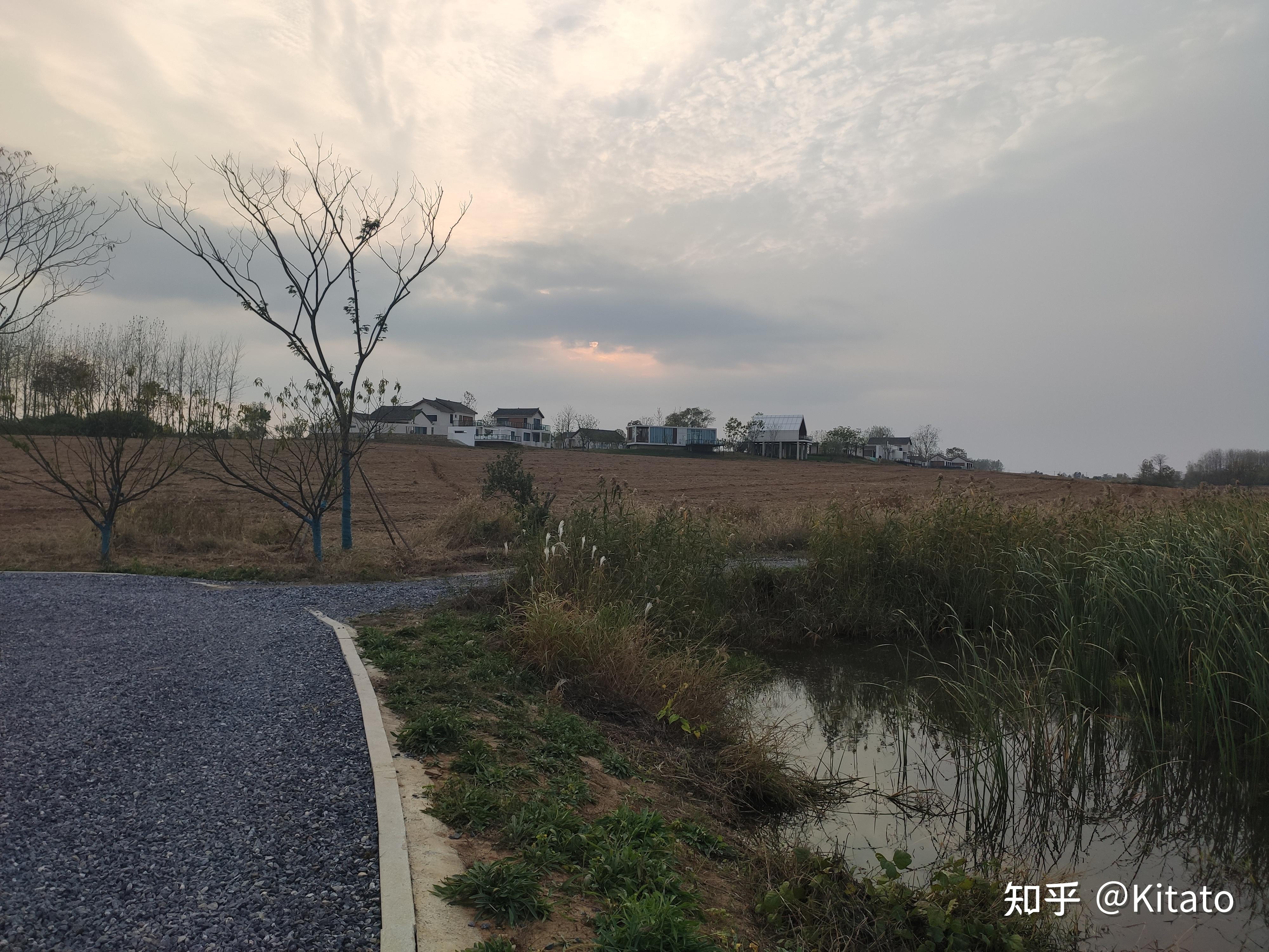 合肥小岭南花海 - 知乎