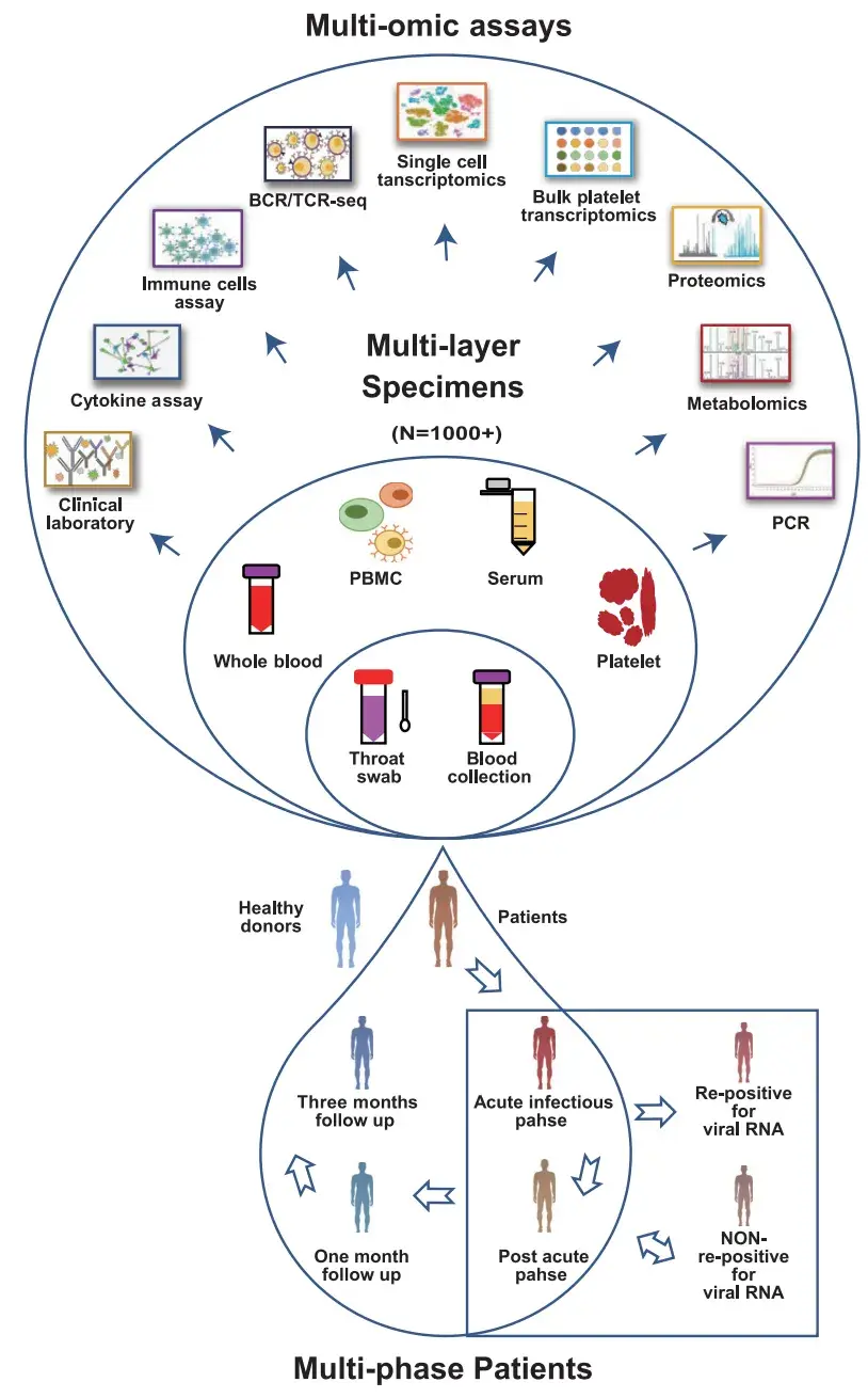 TCR/BCR-seq：免疫组库测序，解锁免疫密码，赋能精准医疗 - 知乎