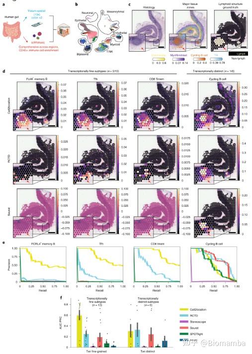 《NBT》| Cell2location注释空间数据细胞 - 知乎