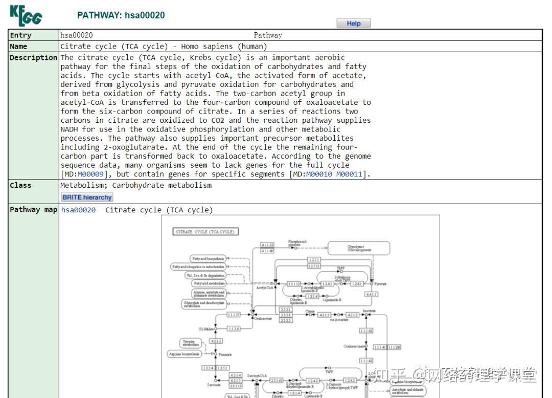 KEGG Pathway数据库在网络药理学研究中的应用 - 知乎