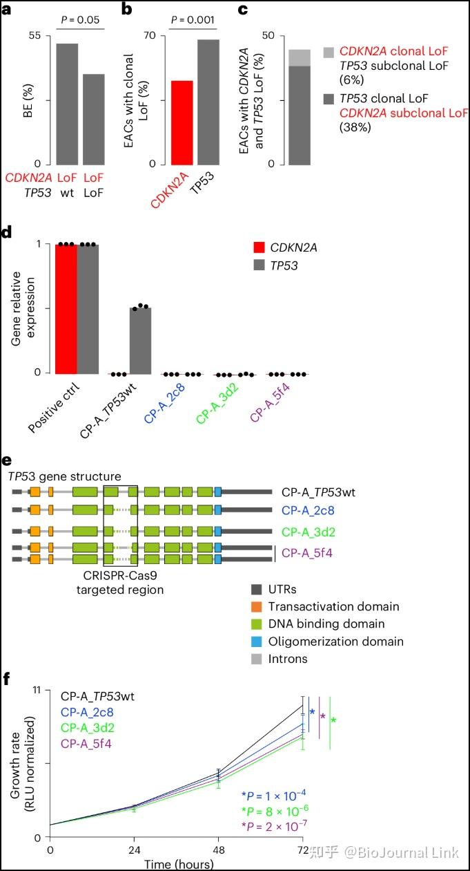 基因组 | Nat.Cancer | 在食管癌进化过程中，CDKN2A及其他9p21基因缺失表现出情境依赖性效应 - 知乎