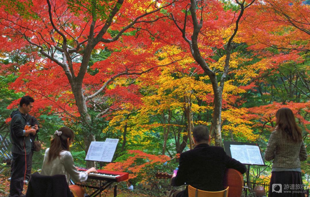 大阪最“红”的8大赏枫胜地！ - 知乎