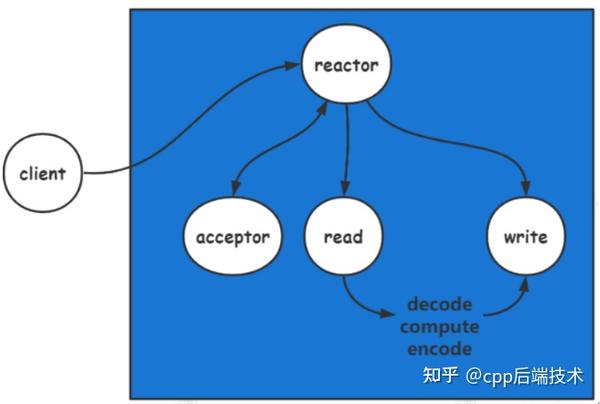 网络编程中io职责及Redis、memcached、Nginx、如何处理reactor - 知乎