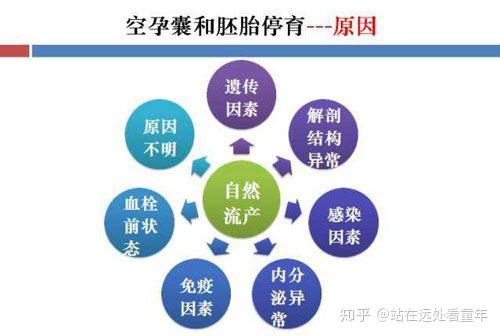 胎停育其实不怎么可怕！这些方法帮你渡过8到10周危险期 - 知乎