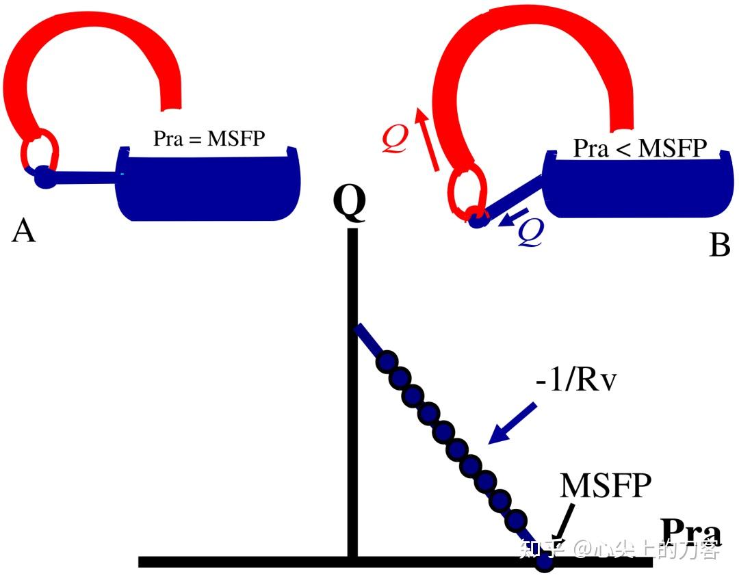 容量及其与心输出量和静脉回流的关系 - 知乎