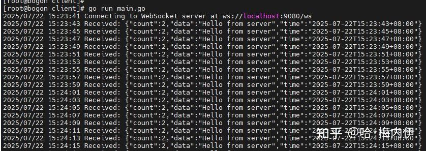 基于websocket与Go的Gin框架实现服务端定时向客户端推送消息 - 知乎