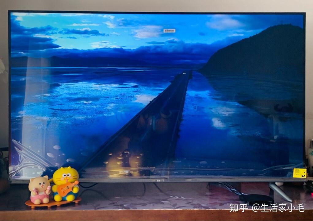 小米L55M5-EX怎么样？是否真的值得选购？