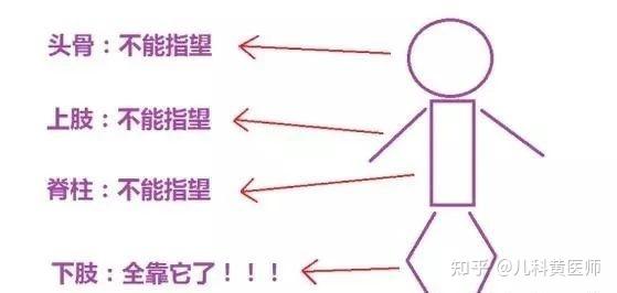 16岁了，还能长高吗？ 知乎