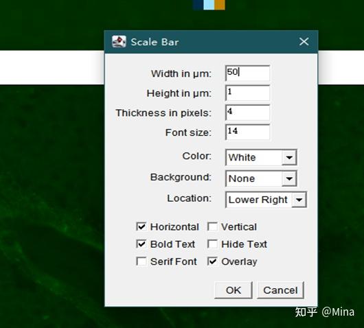 ImageJ 使用教程：3. ImagJ 添加标尺 - 知乎